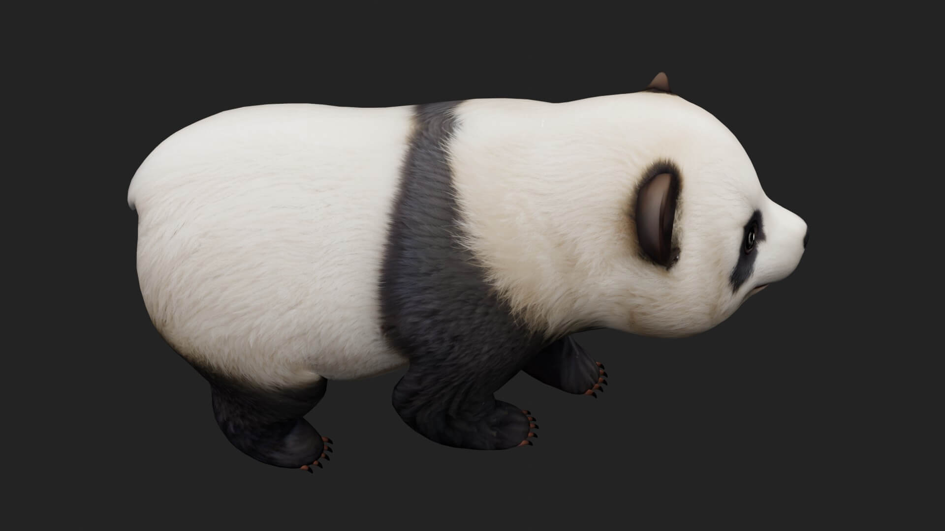 Panda A2 Animated - 3D Model by Animated3d