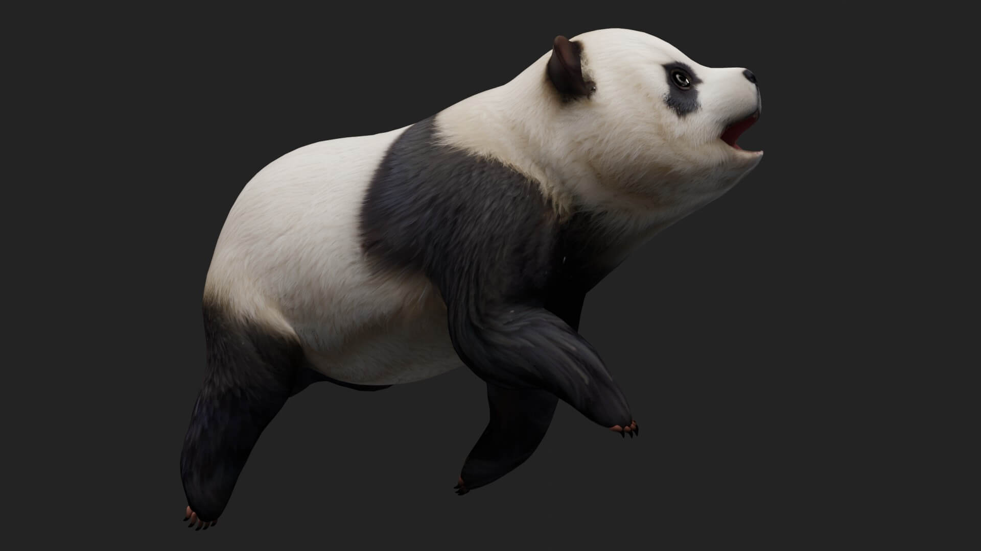 Panda A2 Animated - 3D Model by Animated3d