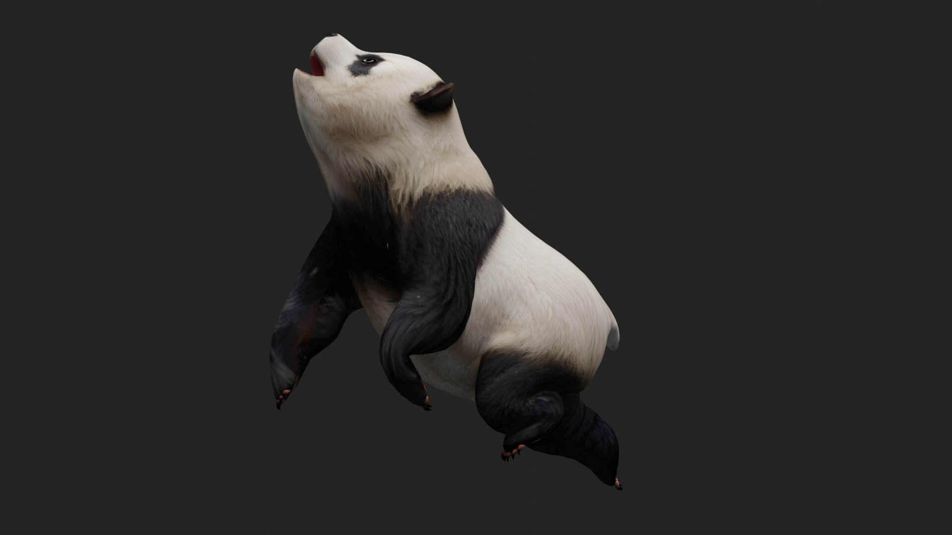 Panda A2 Animated - 3D Model by Animated3d