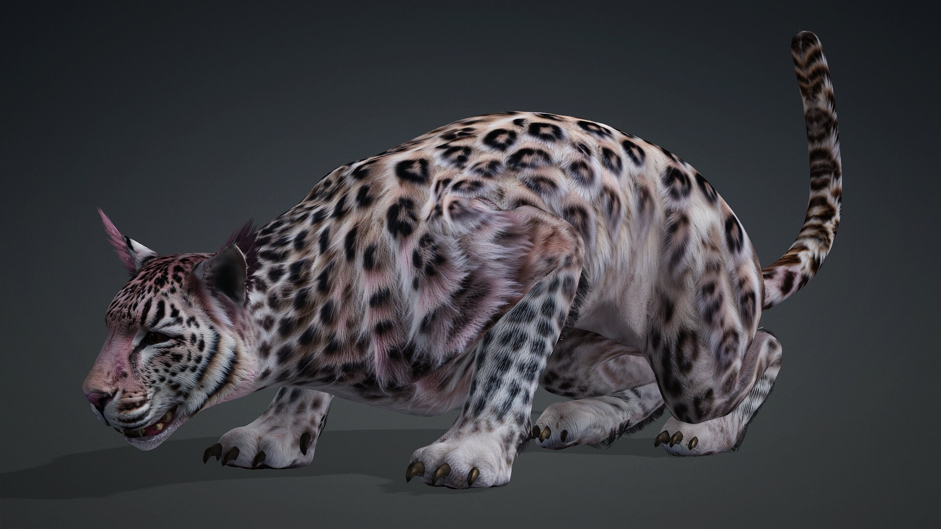 Panther-B1-Animated 3D Animation by Animated3d