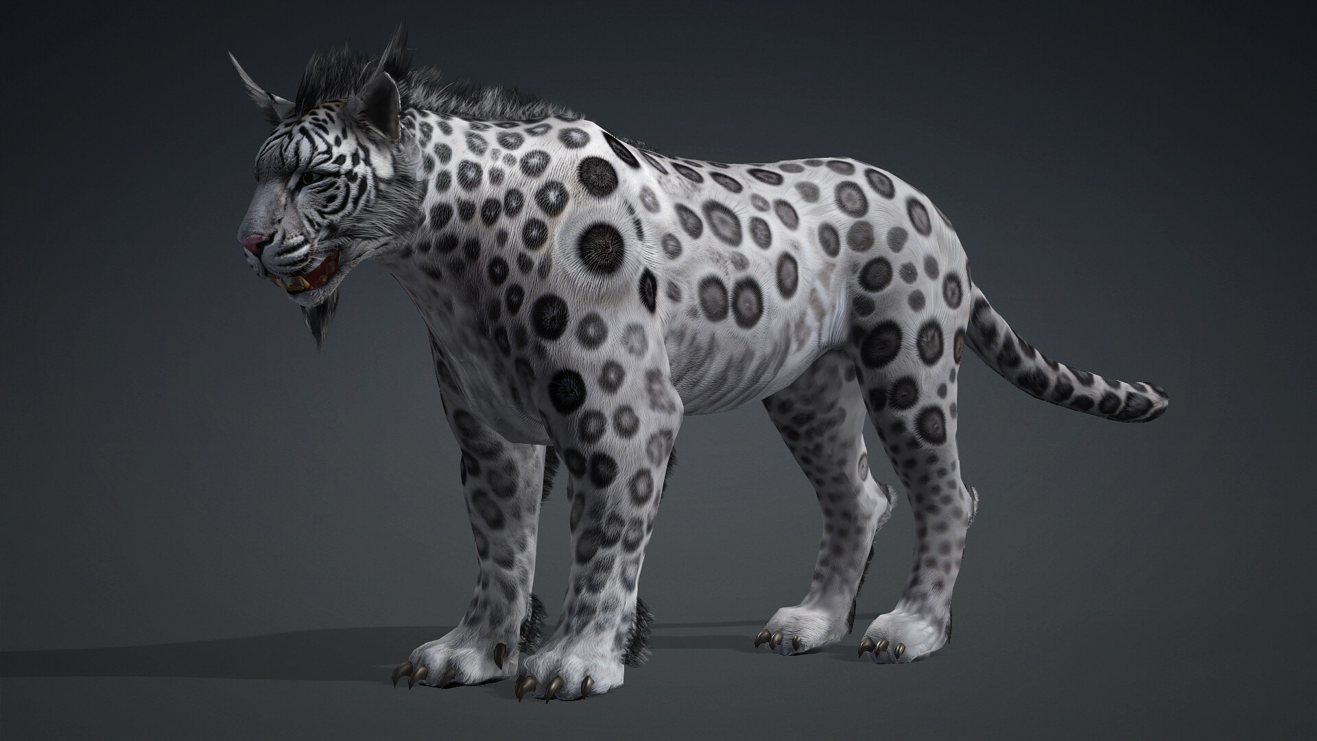 Panther-B3-Animated 3D Animation by Animated3d