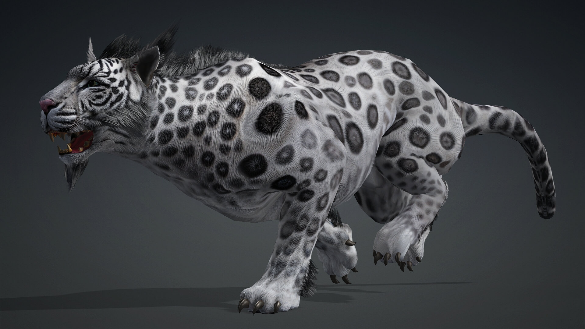 Panther-B3-Animated 3D Animation by Animated3d