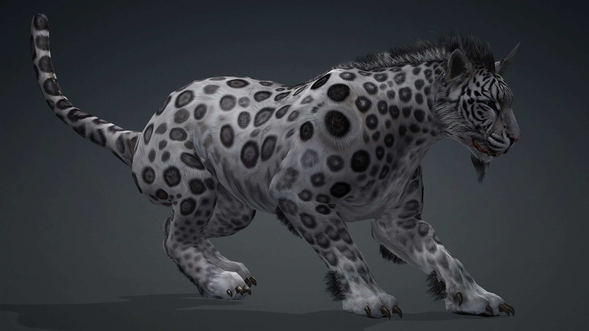 Panther-B3-Animated 3D Animation by Animated3d