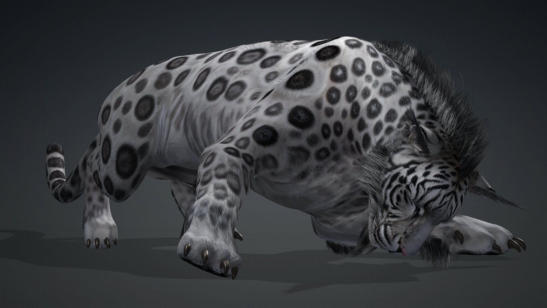 Panther-B3-Animated 3D Animation by Animated3d