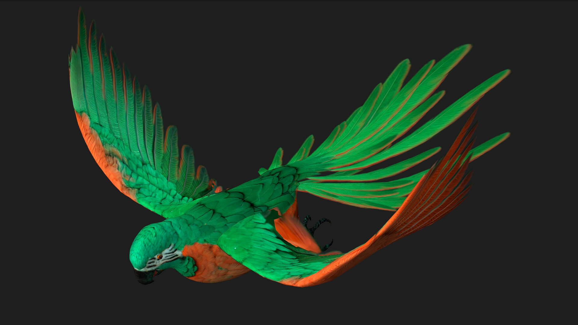 Parrot A2 Animated - 3D Model by Animated3d