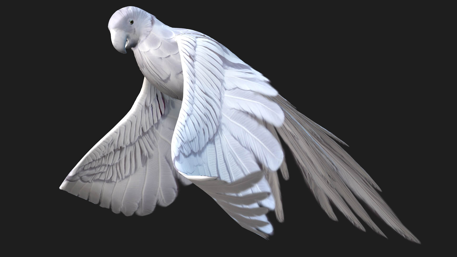 Parrot A10 Animated - 3D Model by Animated3d