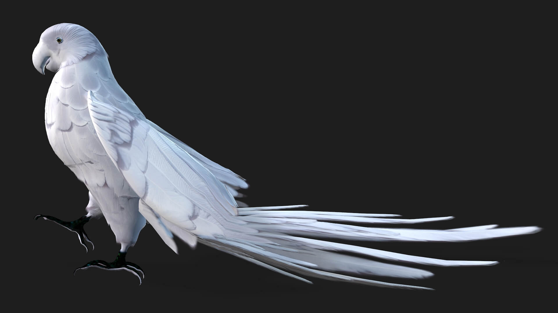 Parrot A10 Animated - 3D Model by Animated3d