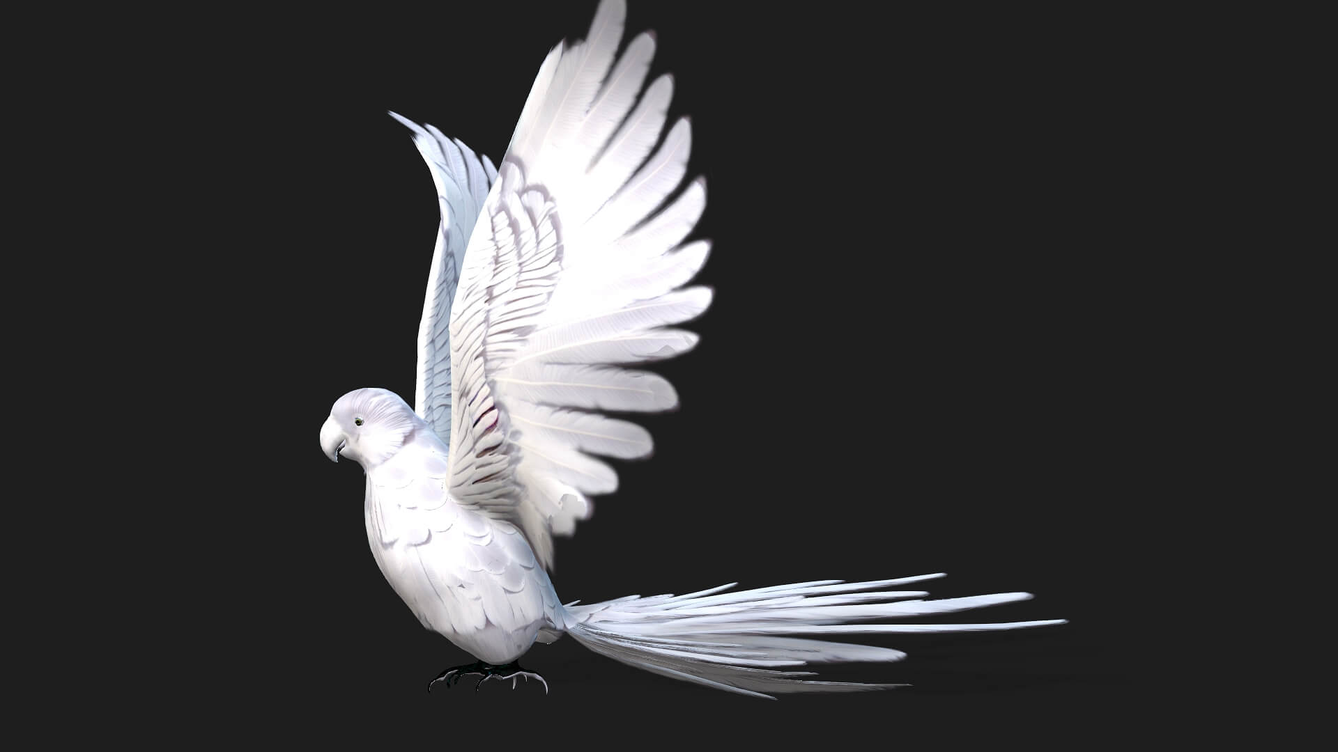 Parrot A10 Animated - 3D Model by Animated3d
