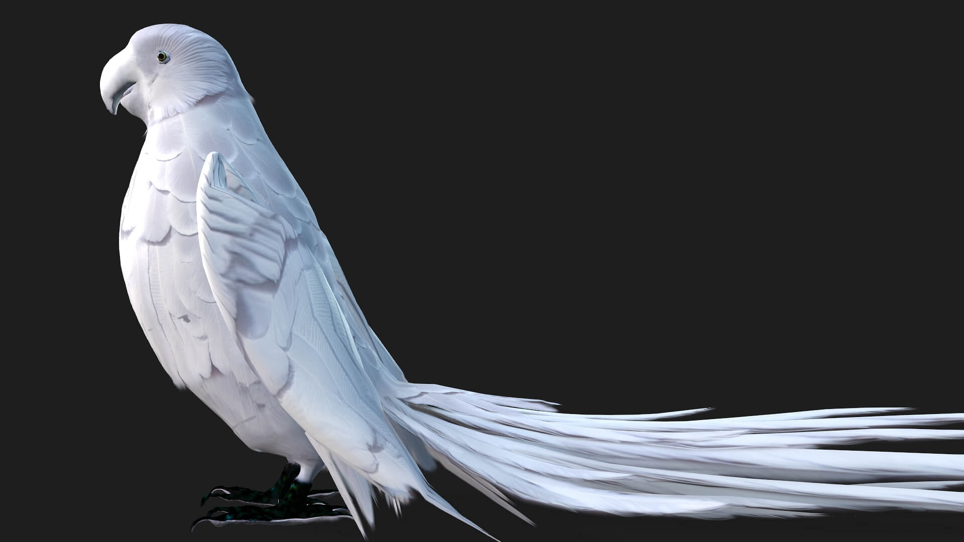 Parrot A10 Animated - 3D Model by Animated3d