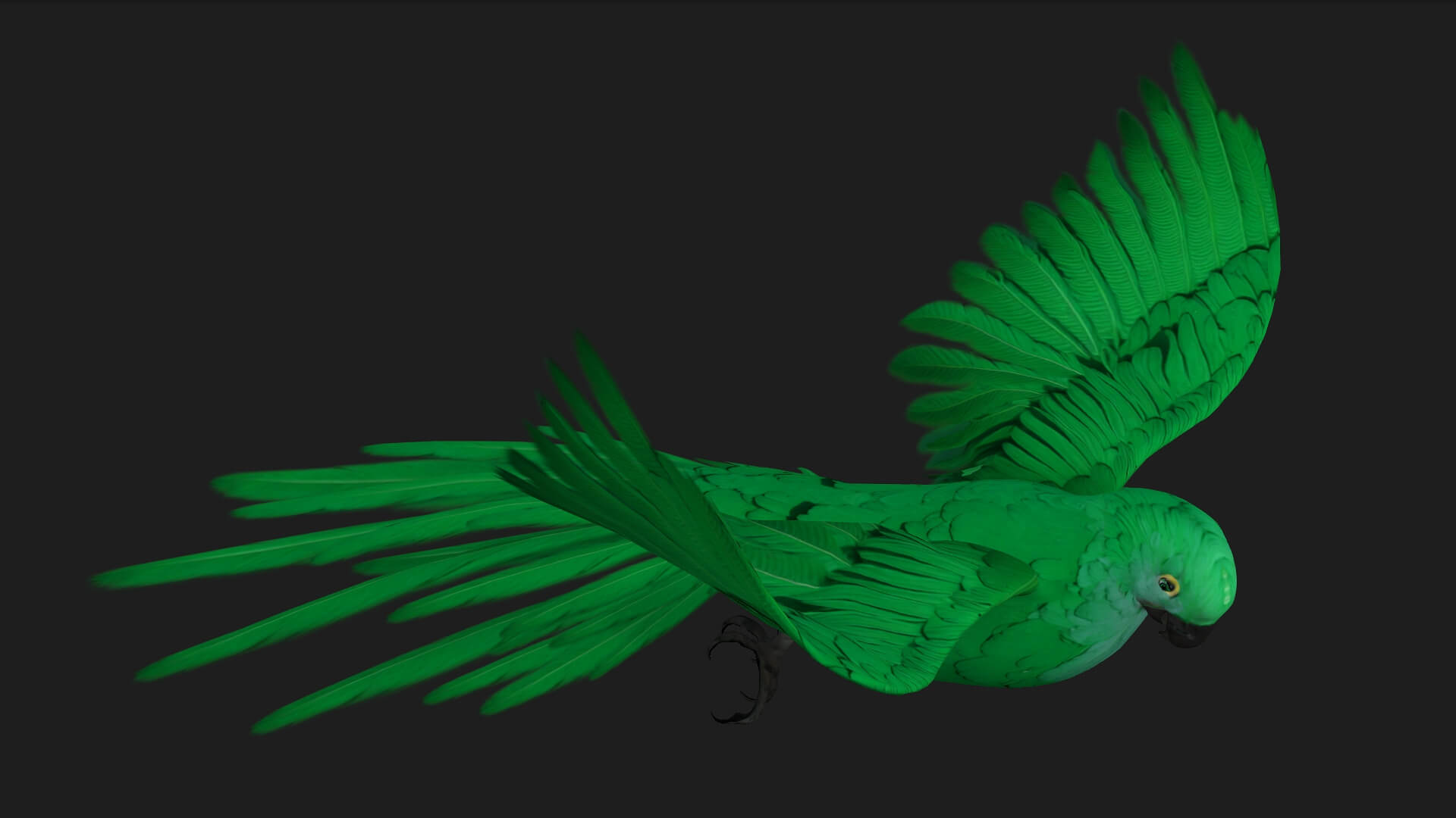 Parrot A11 Animated - 3D Model by Animated3d