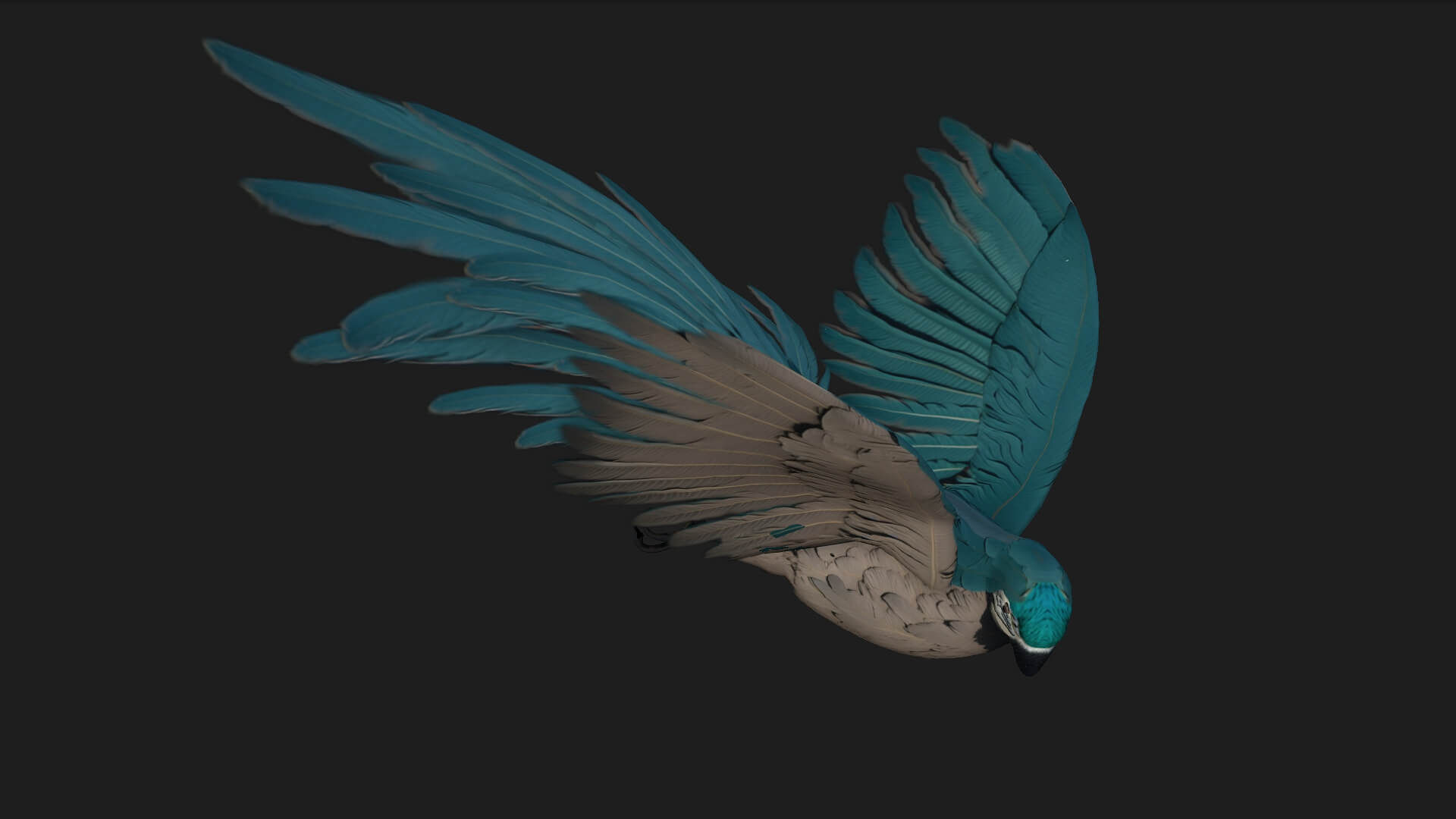 Parrot A12 Animated - 3D Model by Animated3d