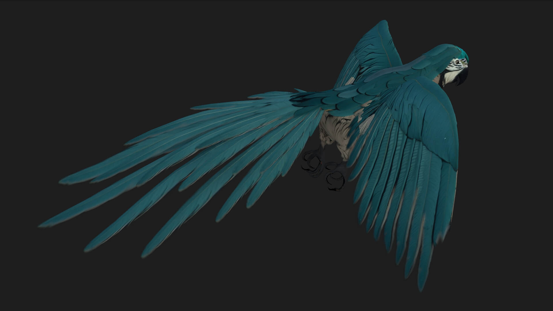 Parrot A12 Animated - 3D Model by Animated3d