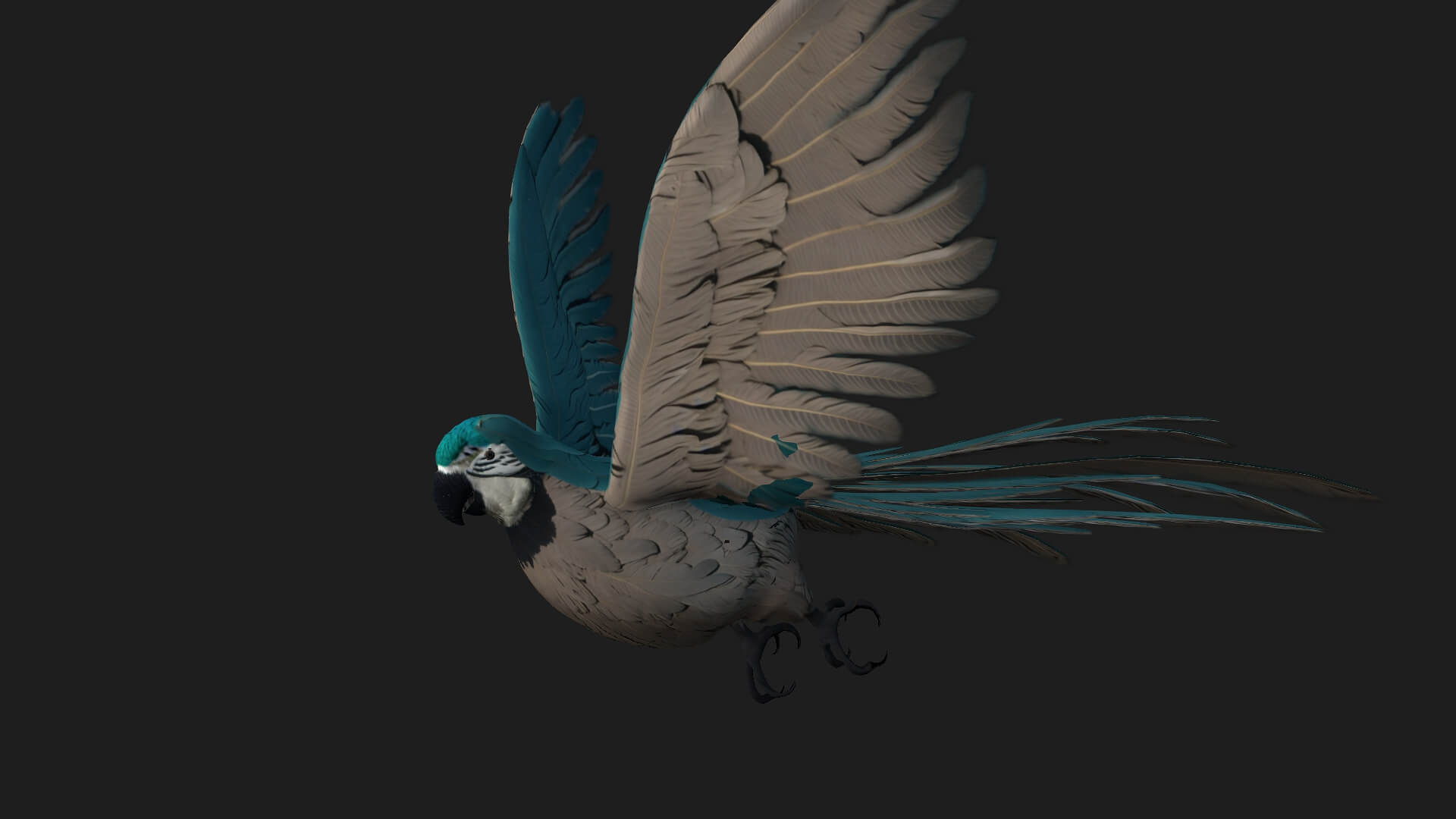 Parrot A12 Animated - 3D Model by Animated3d