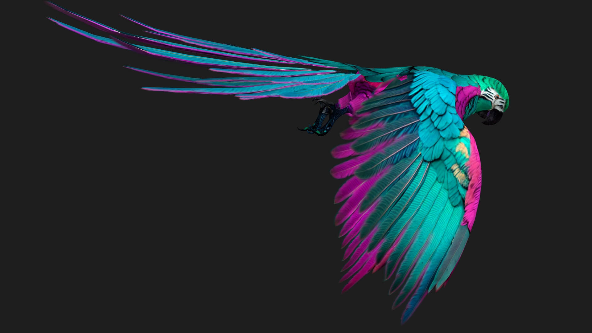 Parrot A3 Animated - 3D Model by Animated3d