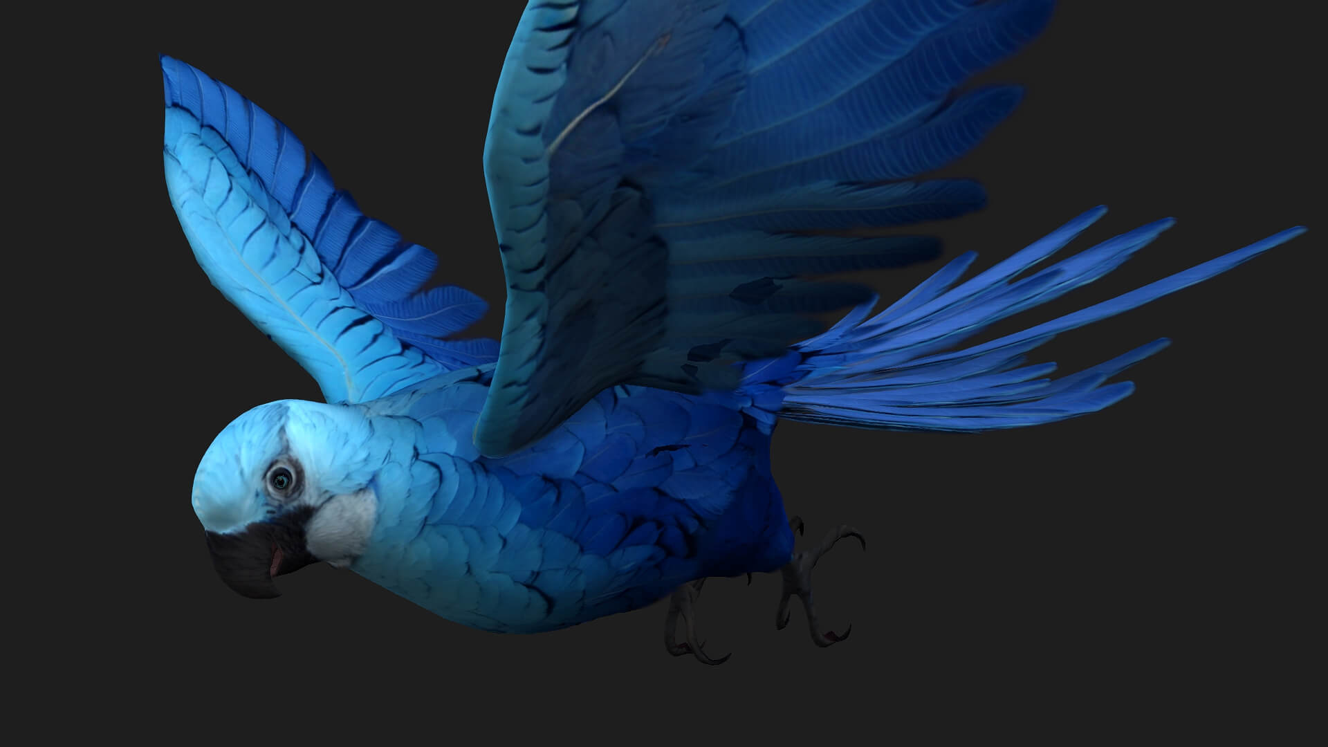 Parrot A4 Animated - 3D Model by Animated3d