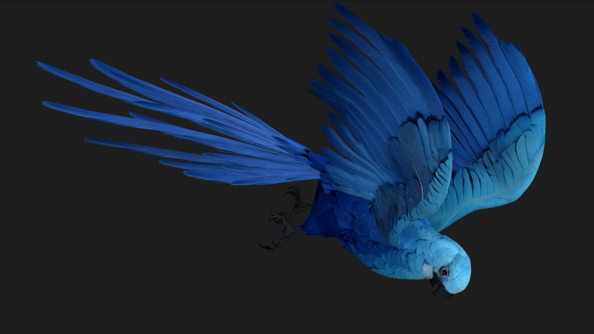 Parrot A4 Animated - 3D Model by Animated3d