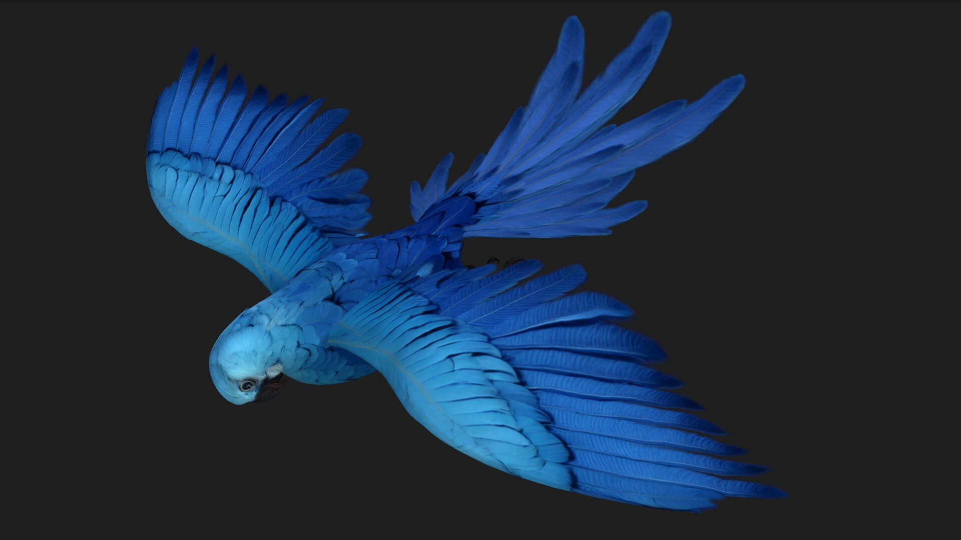 Parrot A4 Animated - 3D Model by Animated3d