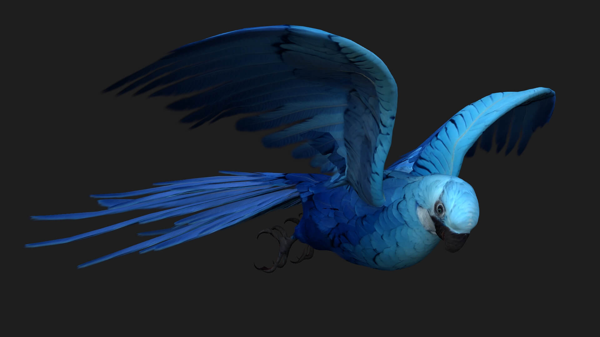 Parrot A4 Animated - 3D Model by Animated3d