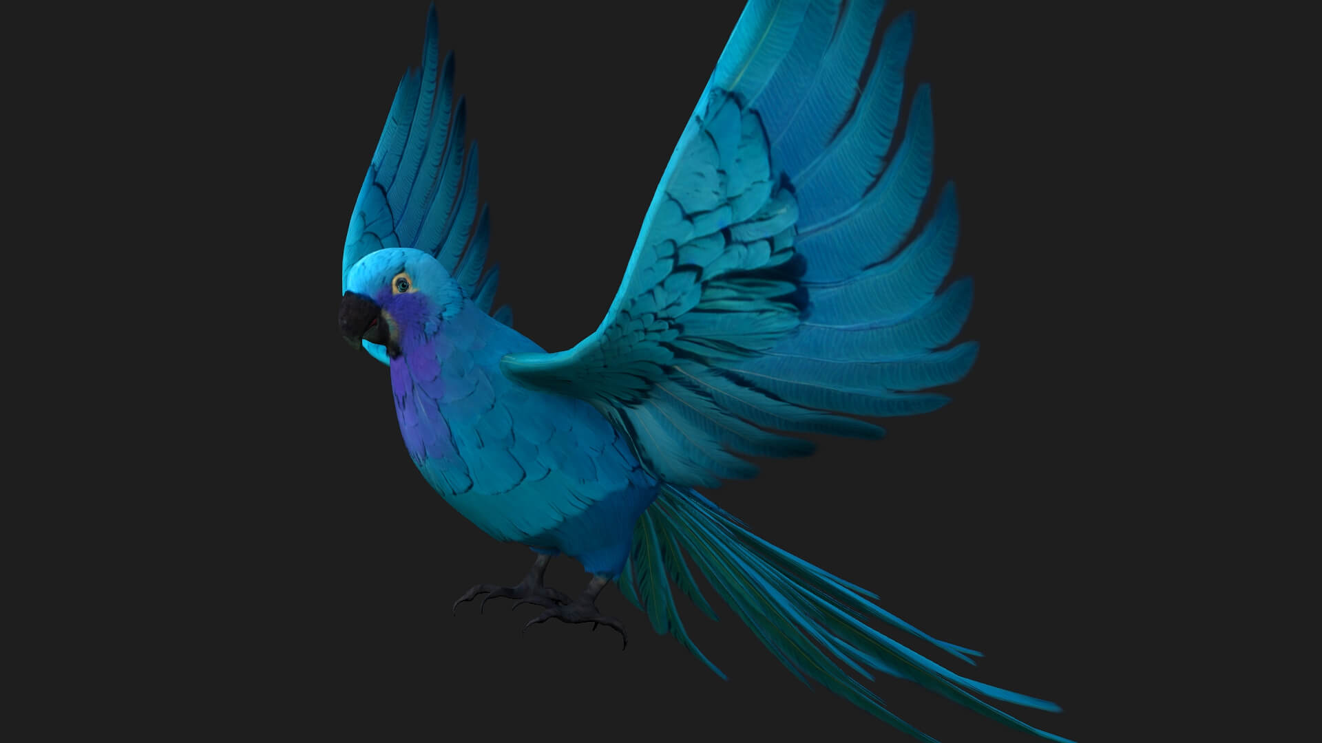 Parrot A6 Animated - 3D Model by Animated3d