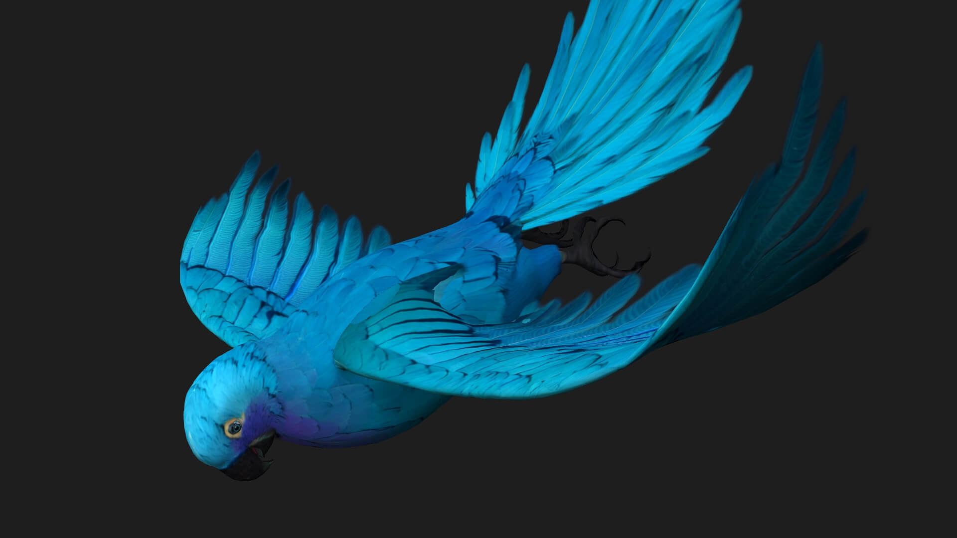 Parrot A6 Animated - 3D Model by Animated3d