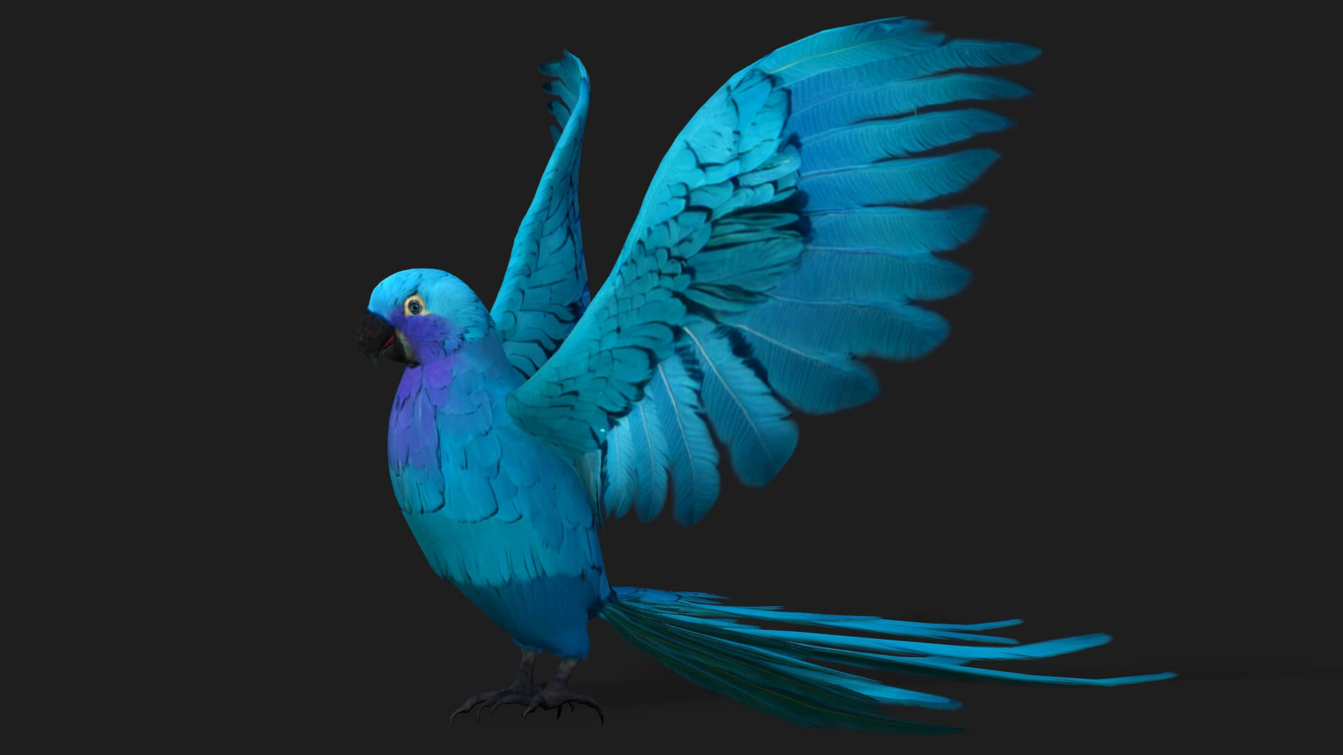 Parrot A6 Animated - 3D Model by Animated3d