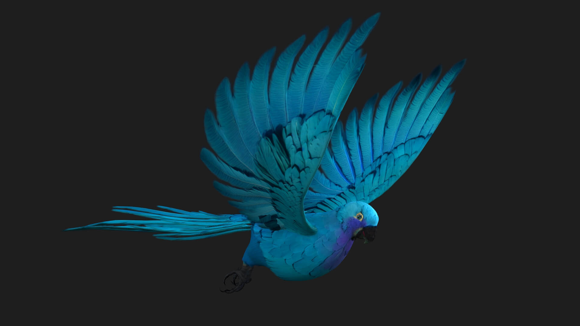 Parrot A6 Animated - 3D Model by Animated3d