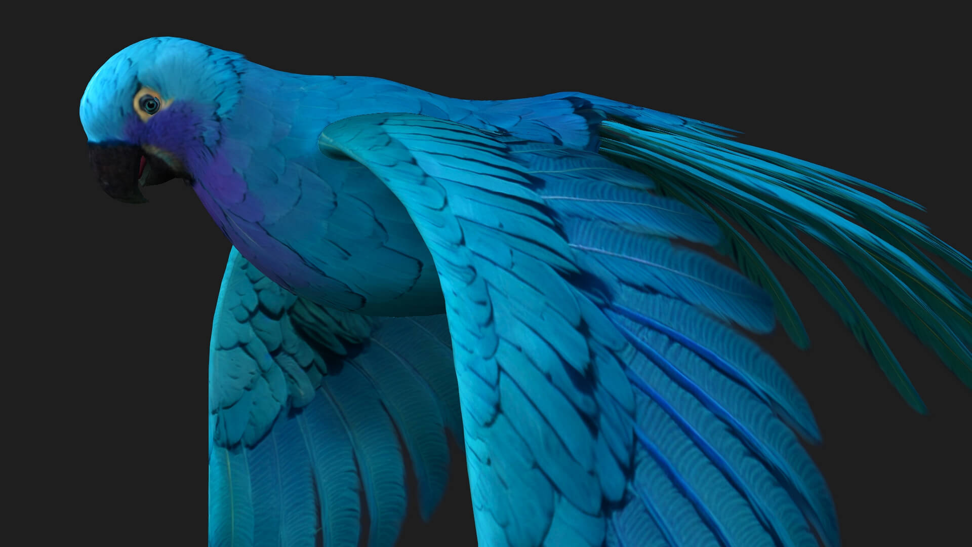 Parrot A6 Animated - 3D Model by Animated3d