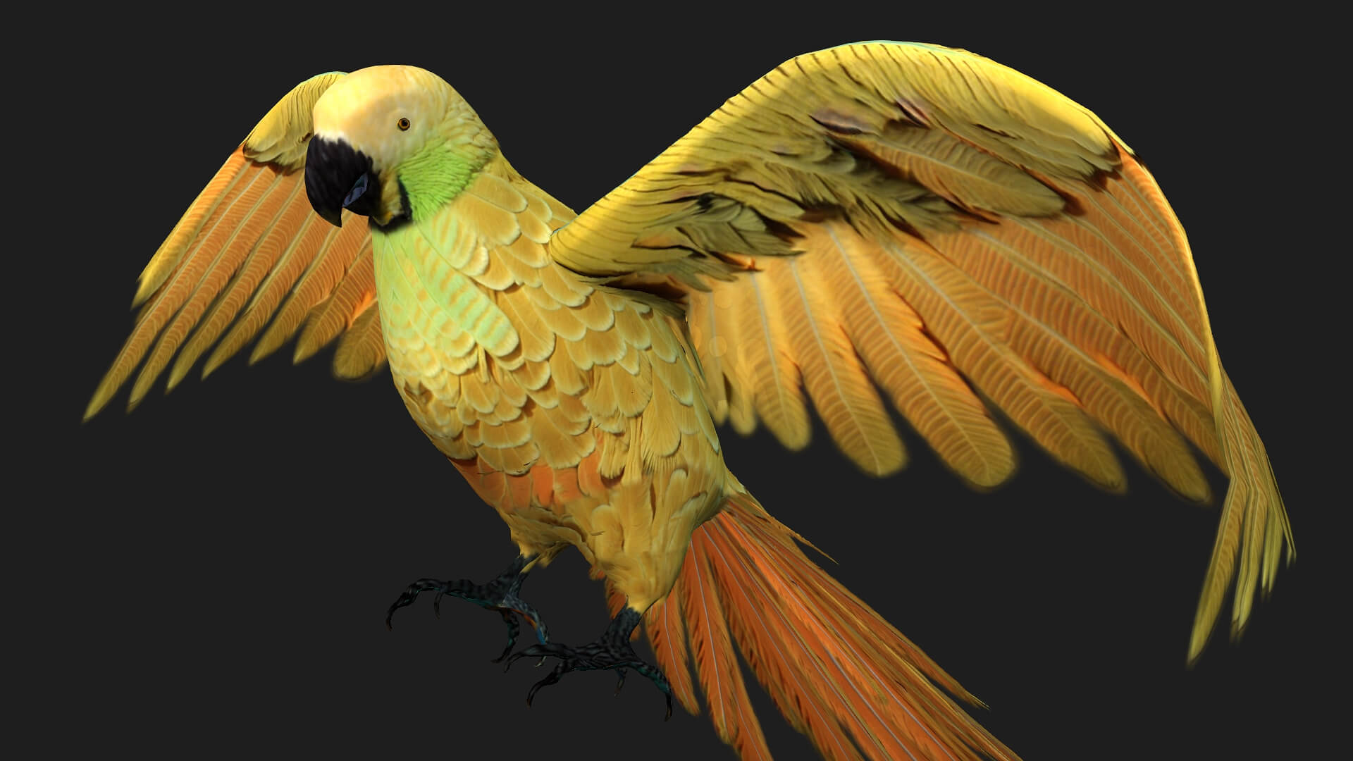 Parrot A7 Animated - 3D Model by Animated3d