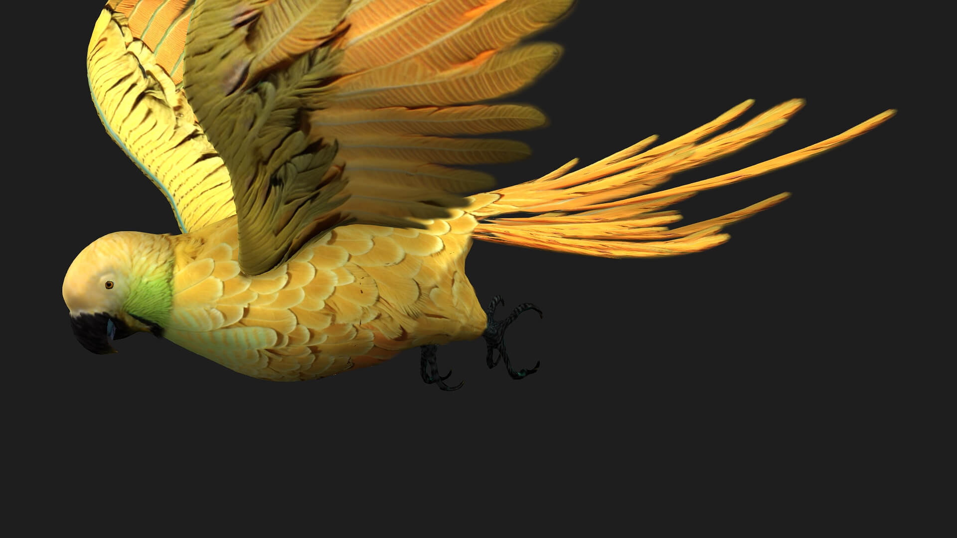Parrot A7 Animated - 3D Model by Animated3d