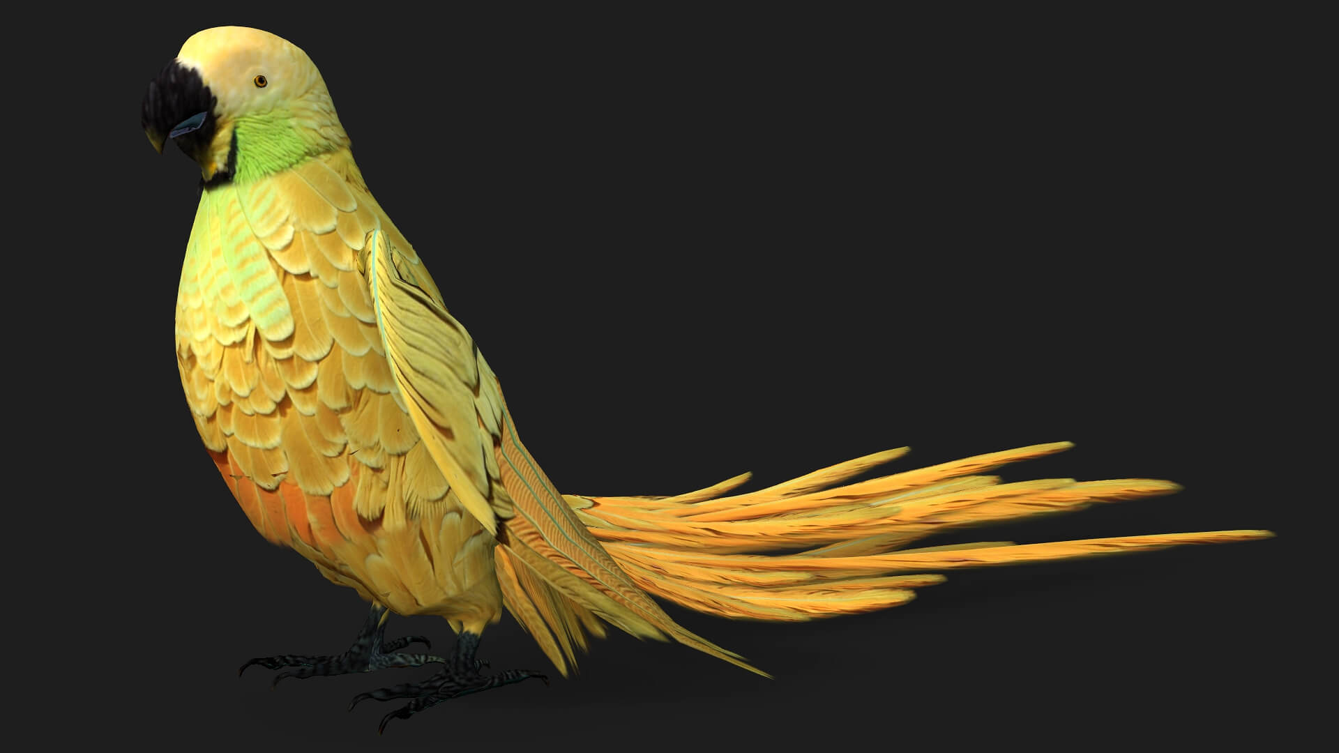 Parrot A7 Animated - 3D Model by Animated3d