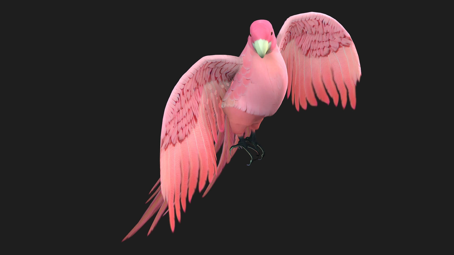 Parrot A8 Animated - 3D Model by Animated3d
