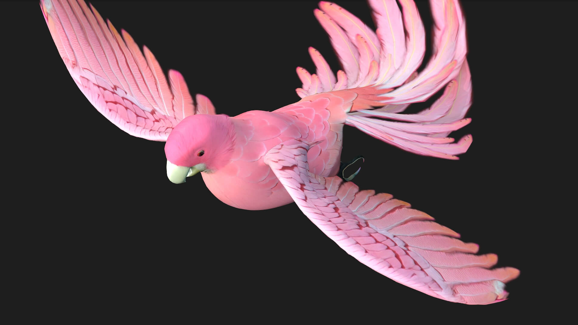 Parrot A8 Animated - 3D Model by Animated3d