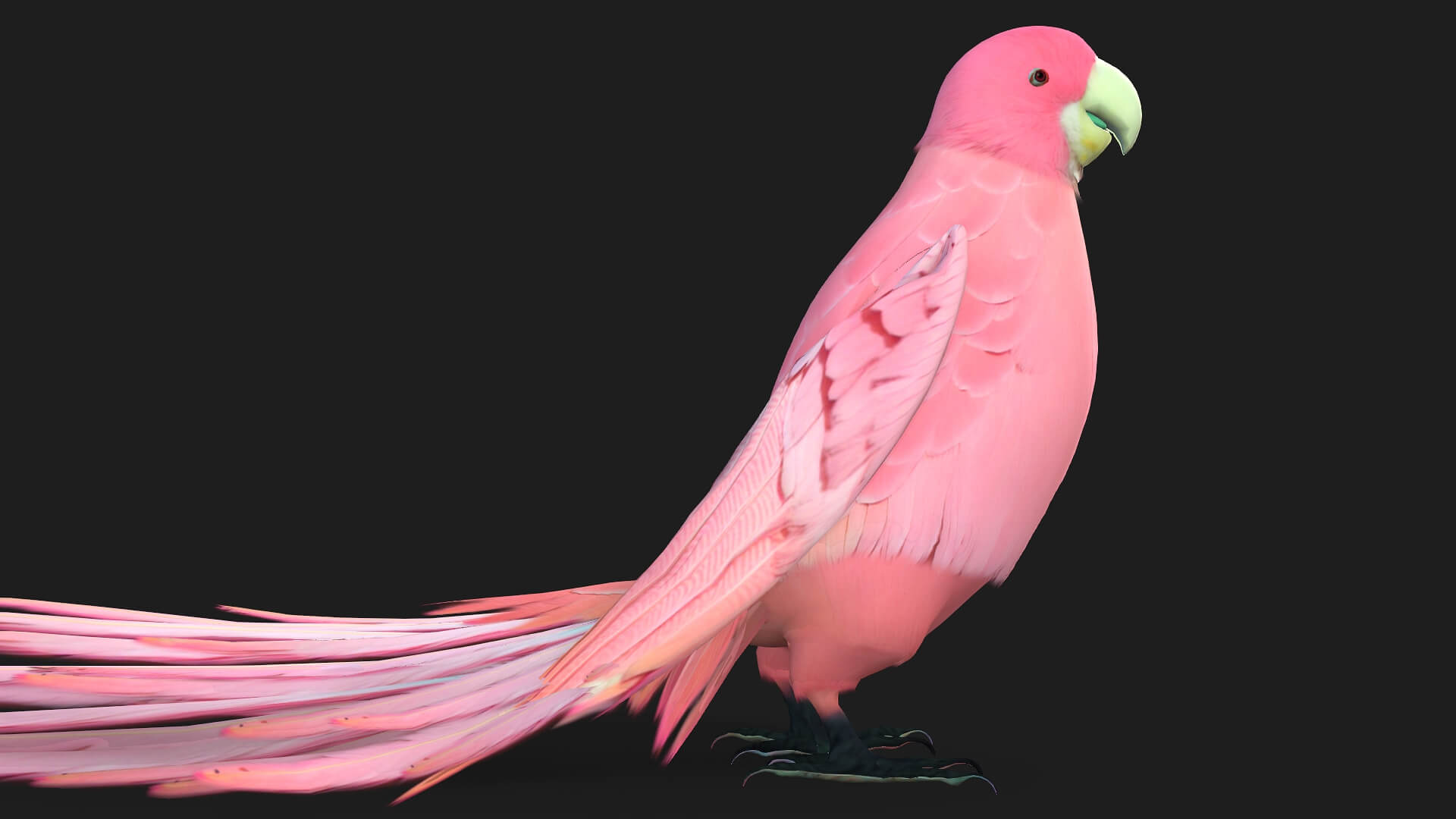 Parrot A8 Animated - 3D Model by Animated3d