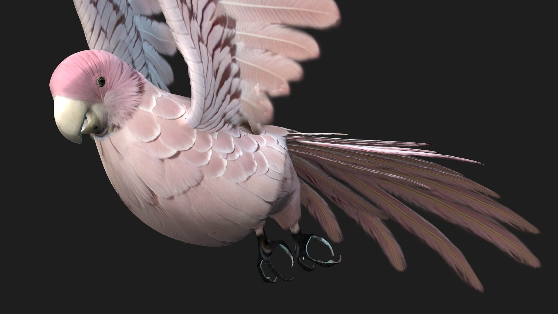 Parrot A9 Animated - 3D Model by Animated3d