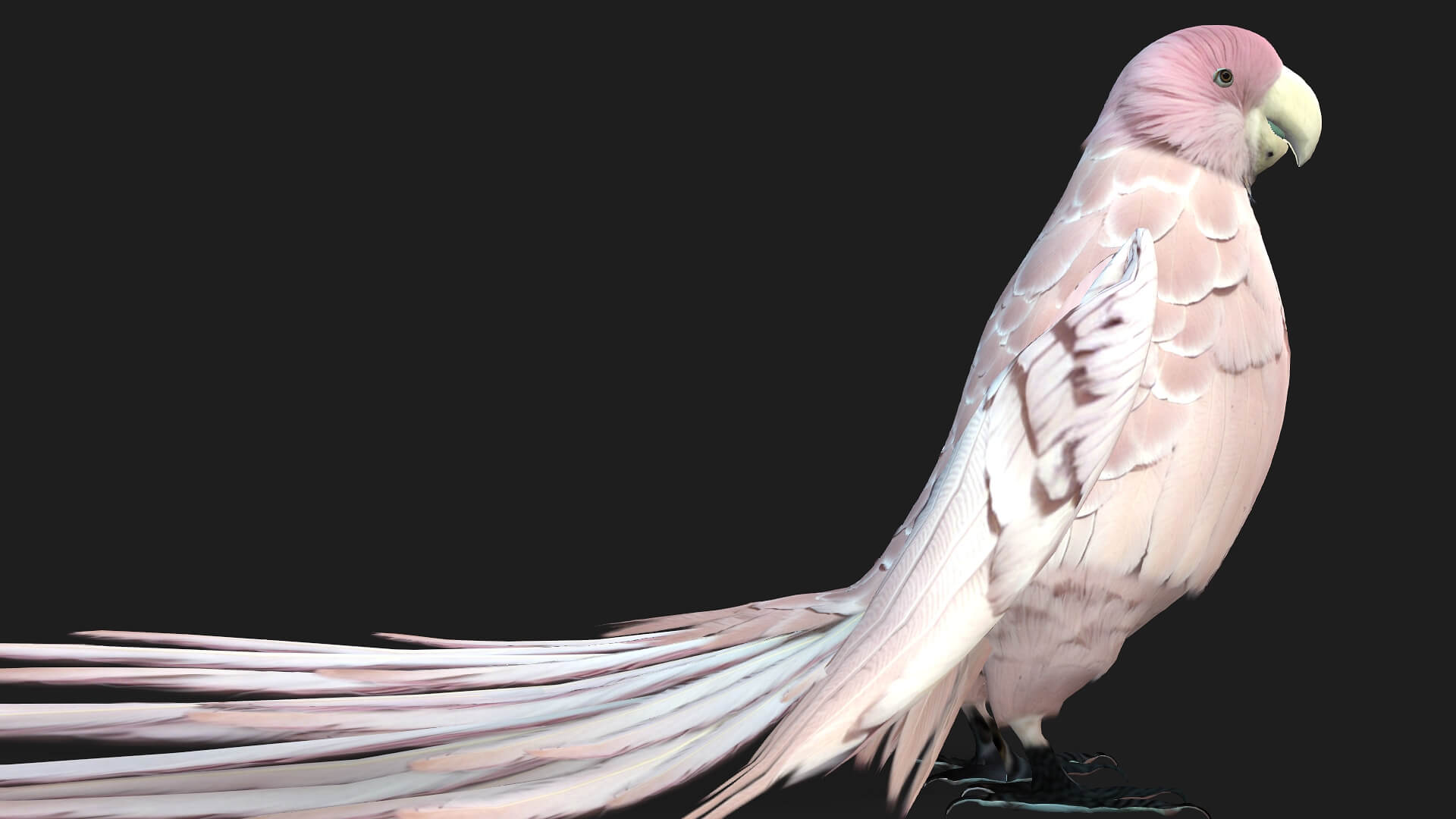 Parrot A9 Animated - 3D Model by Animated3d