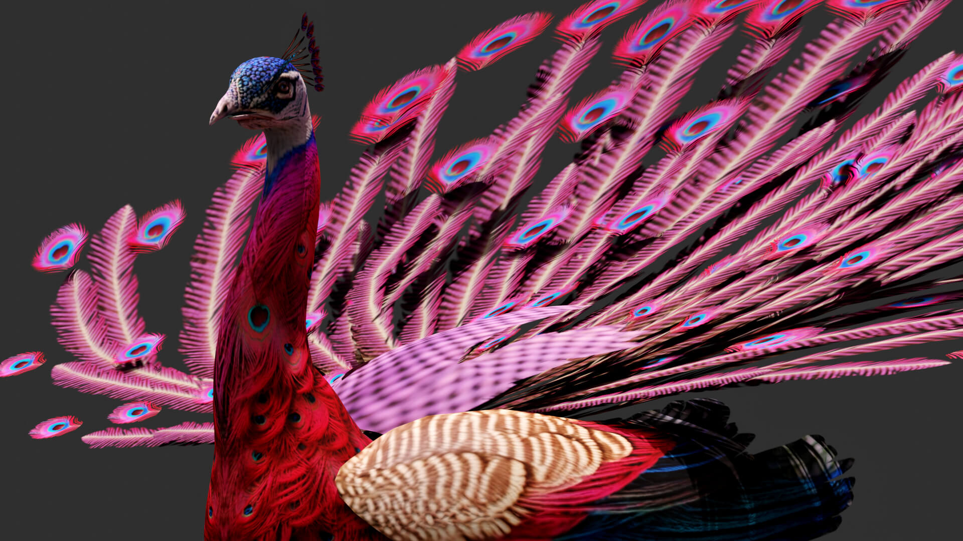 Peacock A1 Animated - 3D Model by Animated3d