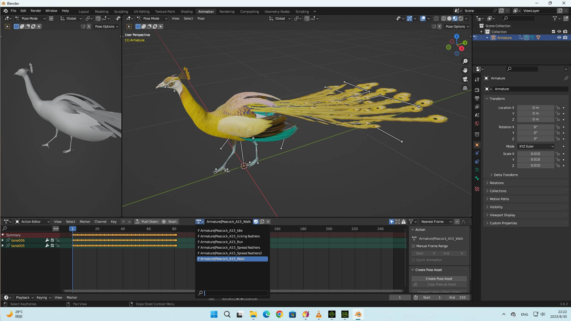 Peacock A2 Animated - 3D Model by Animated3d