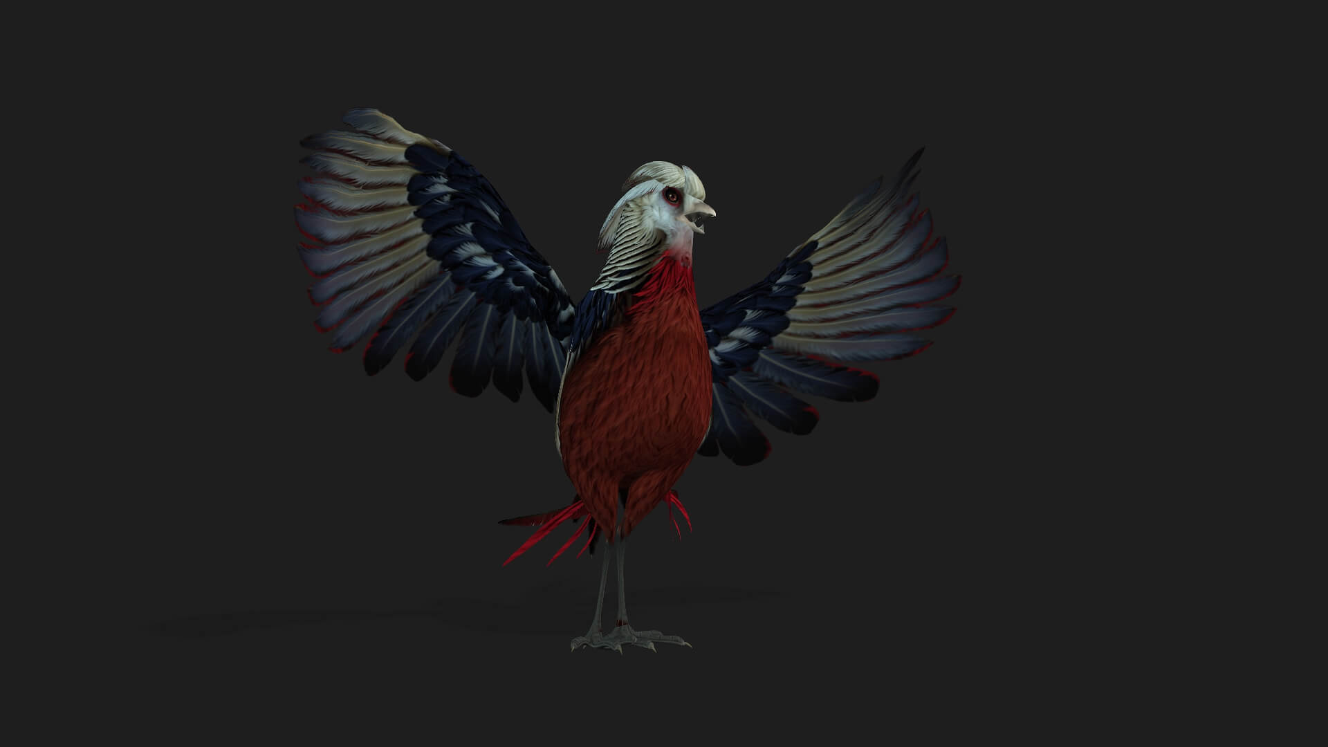 Pheasant A2 Animated - 3D Model by Animated3d