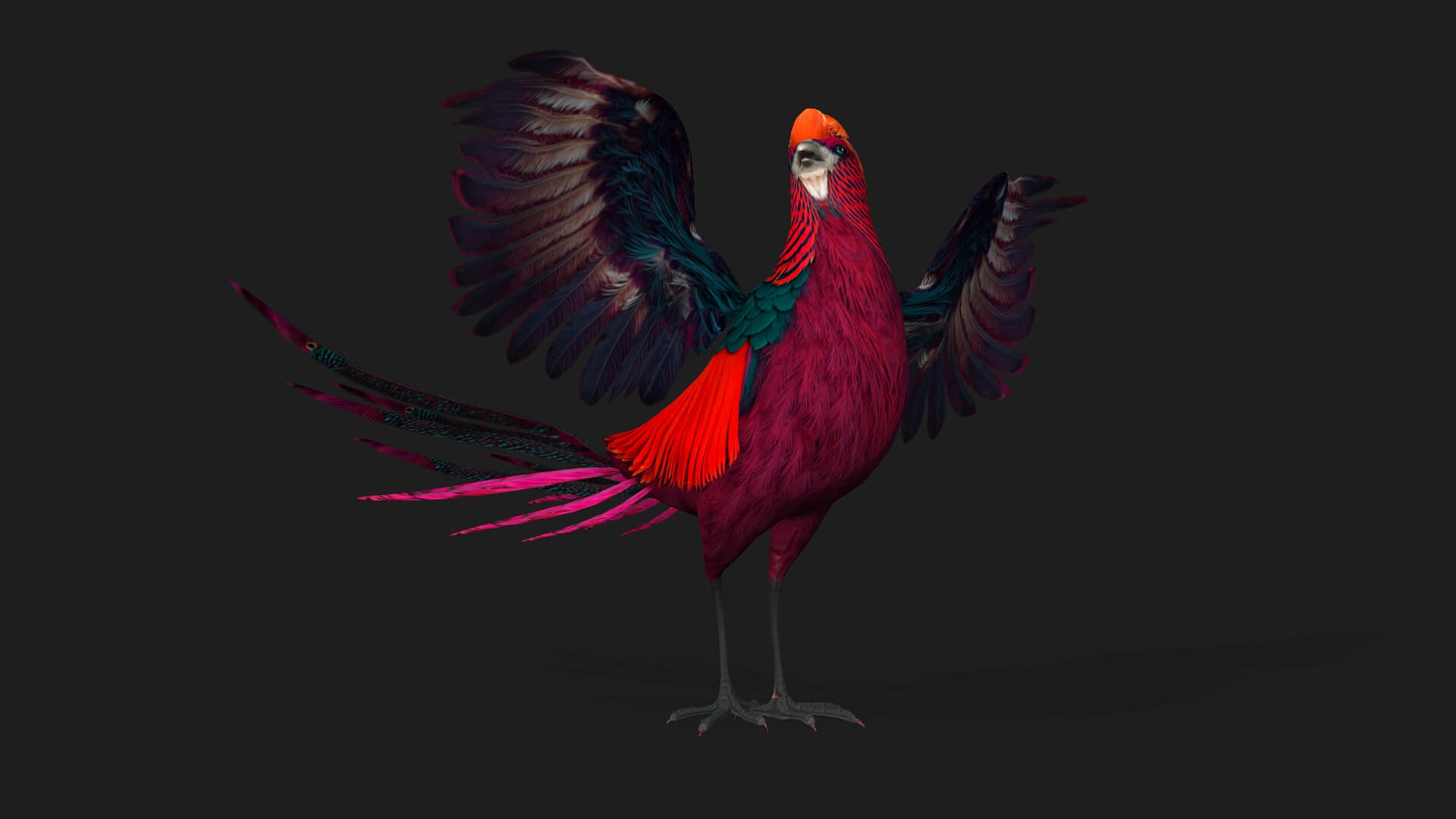 Pheasant A3 Animated - 3D Model by Animated3d
