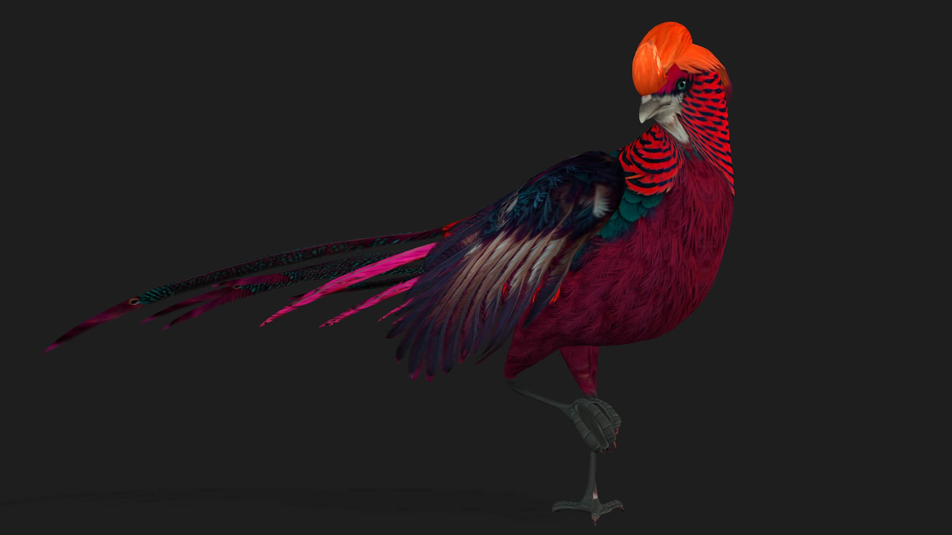 Pheasant A3 Animated - 3D Model by Animated3d