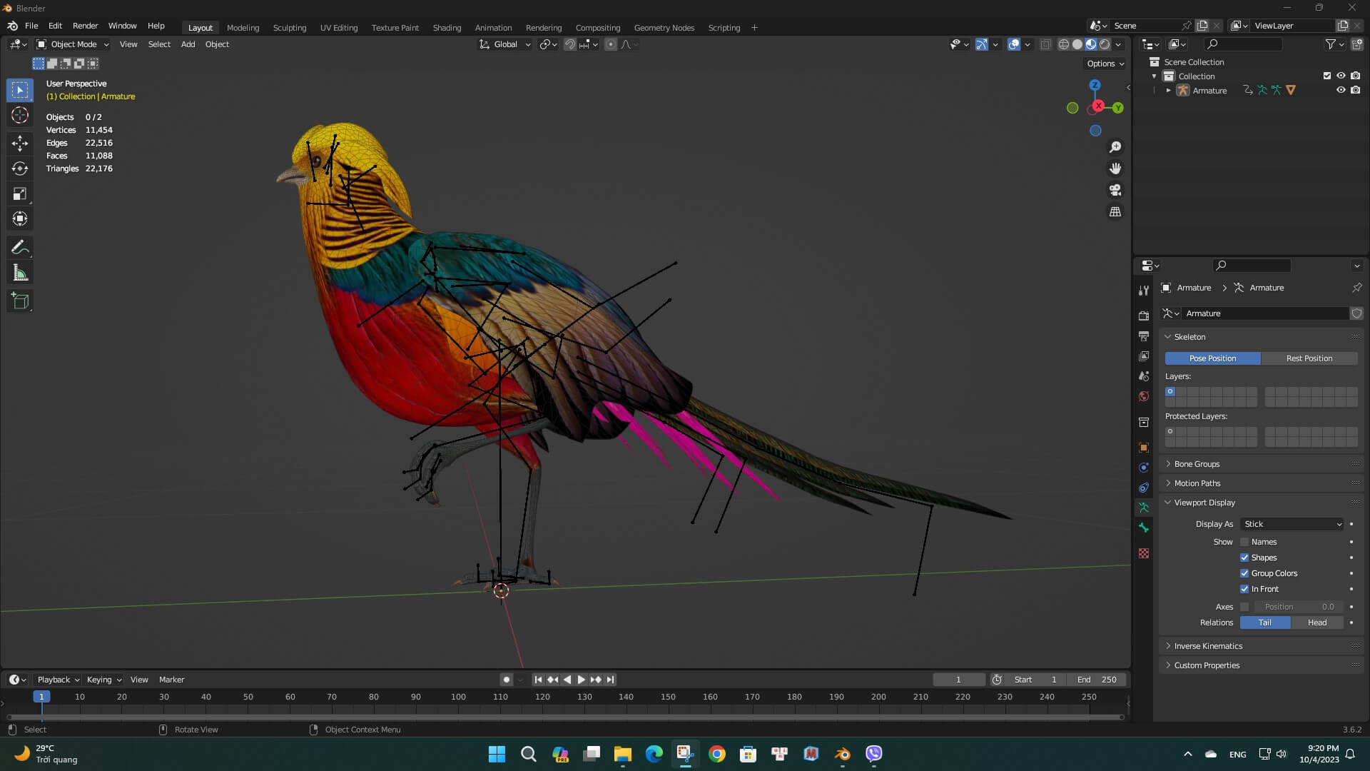 Pheasant A4 Animated - 3D Model by Animated3d
