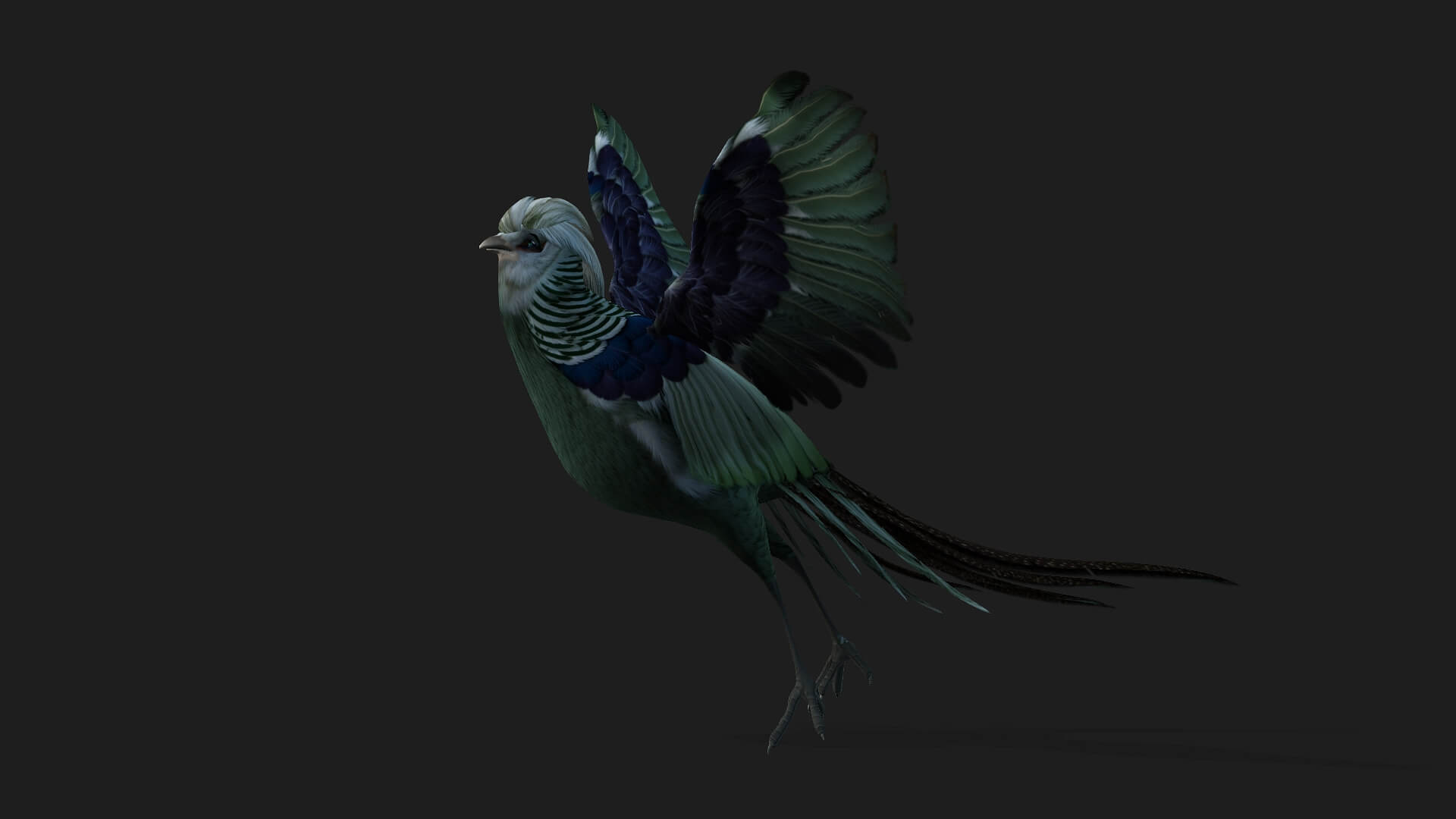 Pheasant A5 Animated - 3D Model by Animated3d