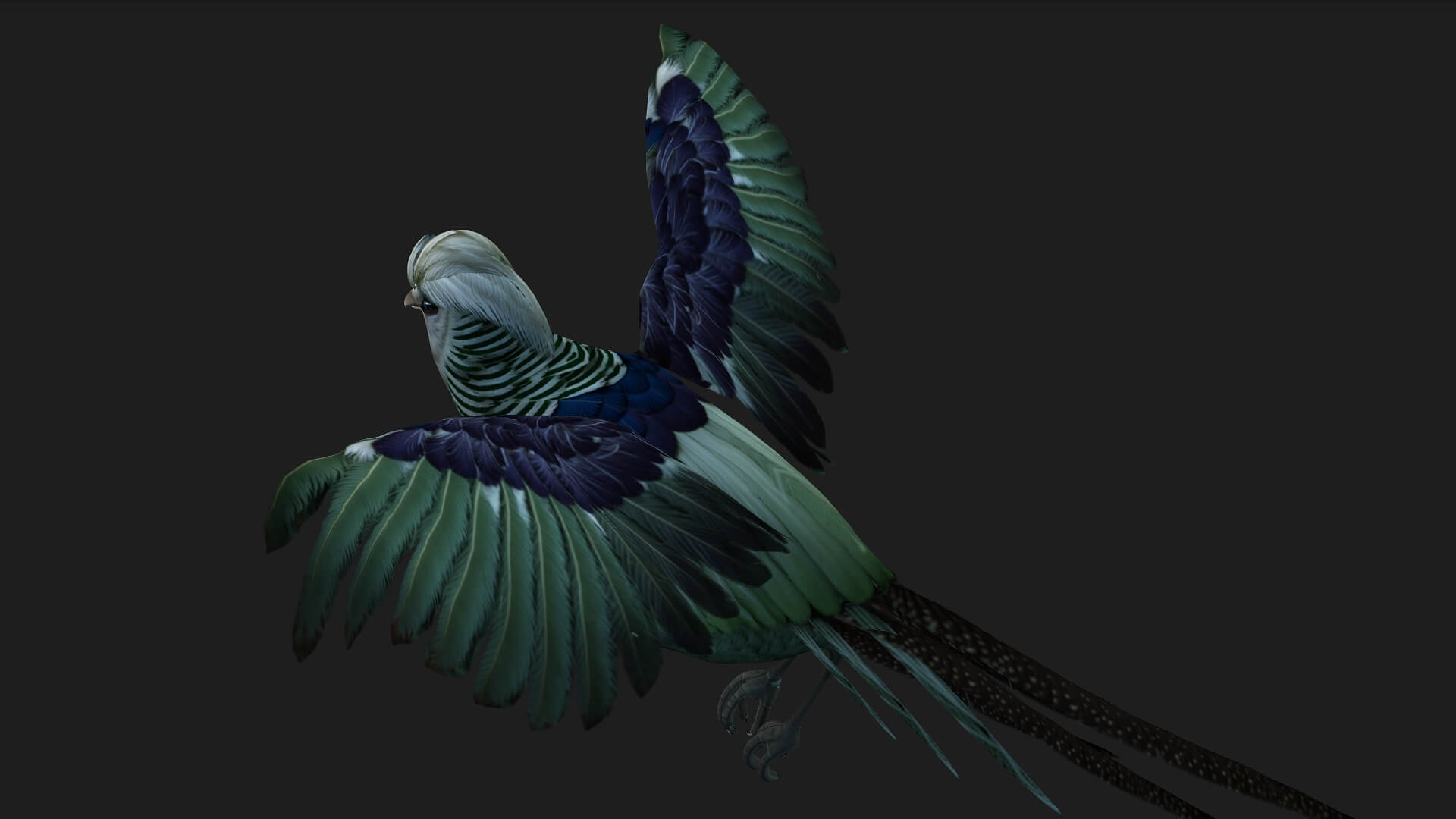 Pheasant A5 Animated - 3D Model by Animated3d