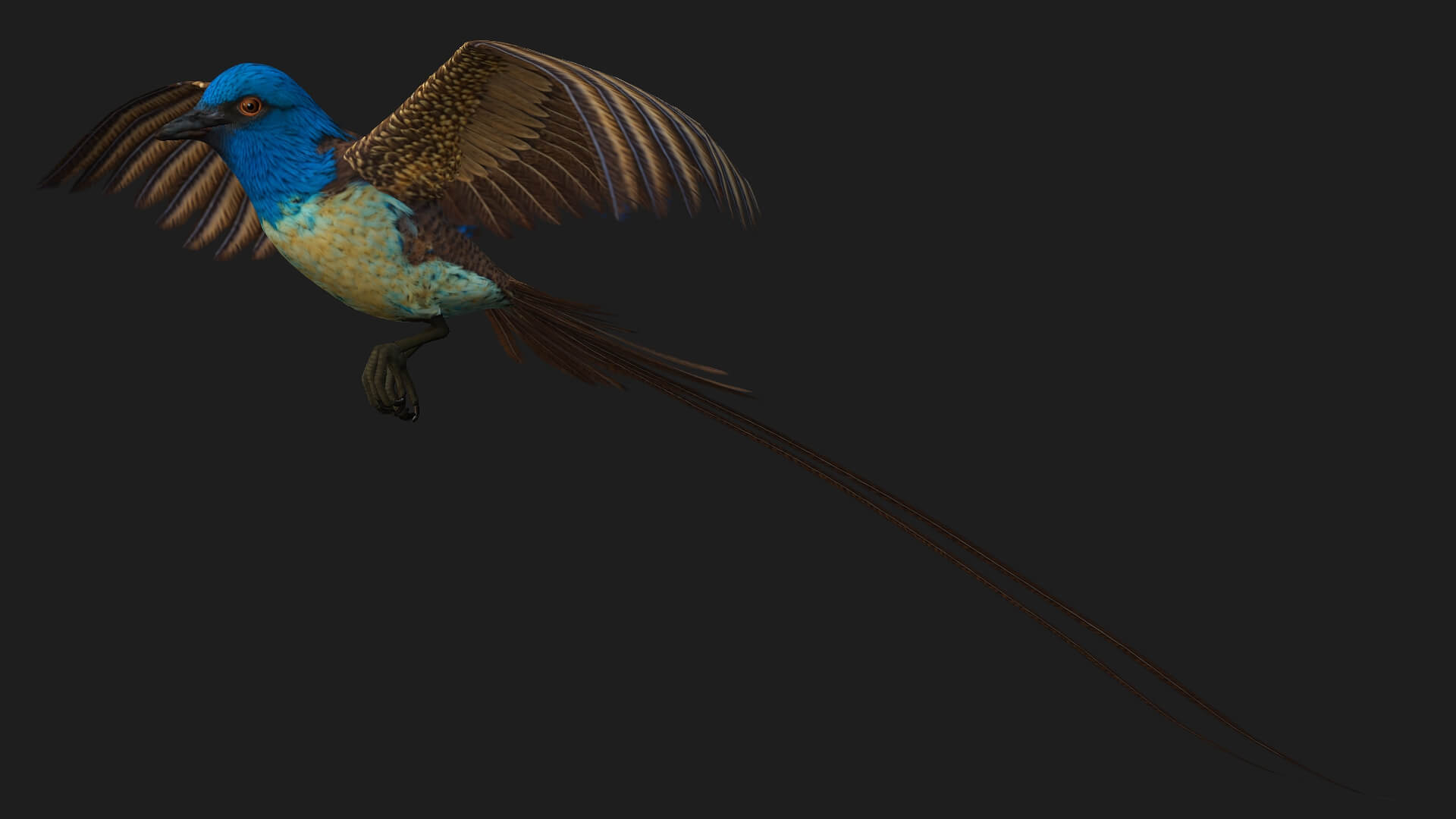 Pheasant Bird-B1 3D Model by Animated3d
