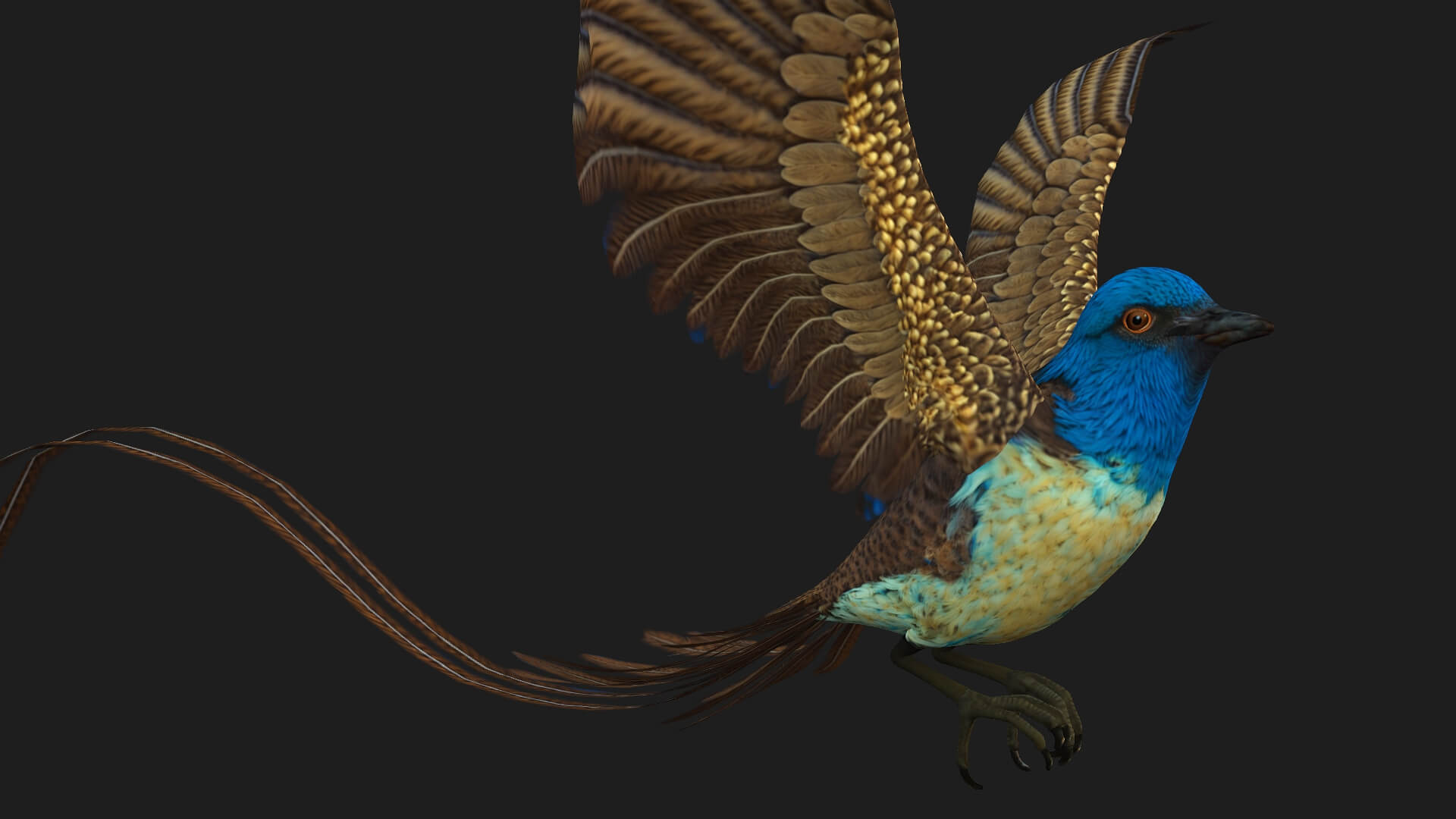 Pheasant Bird-B1 3D Model by Animated3d