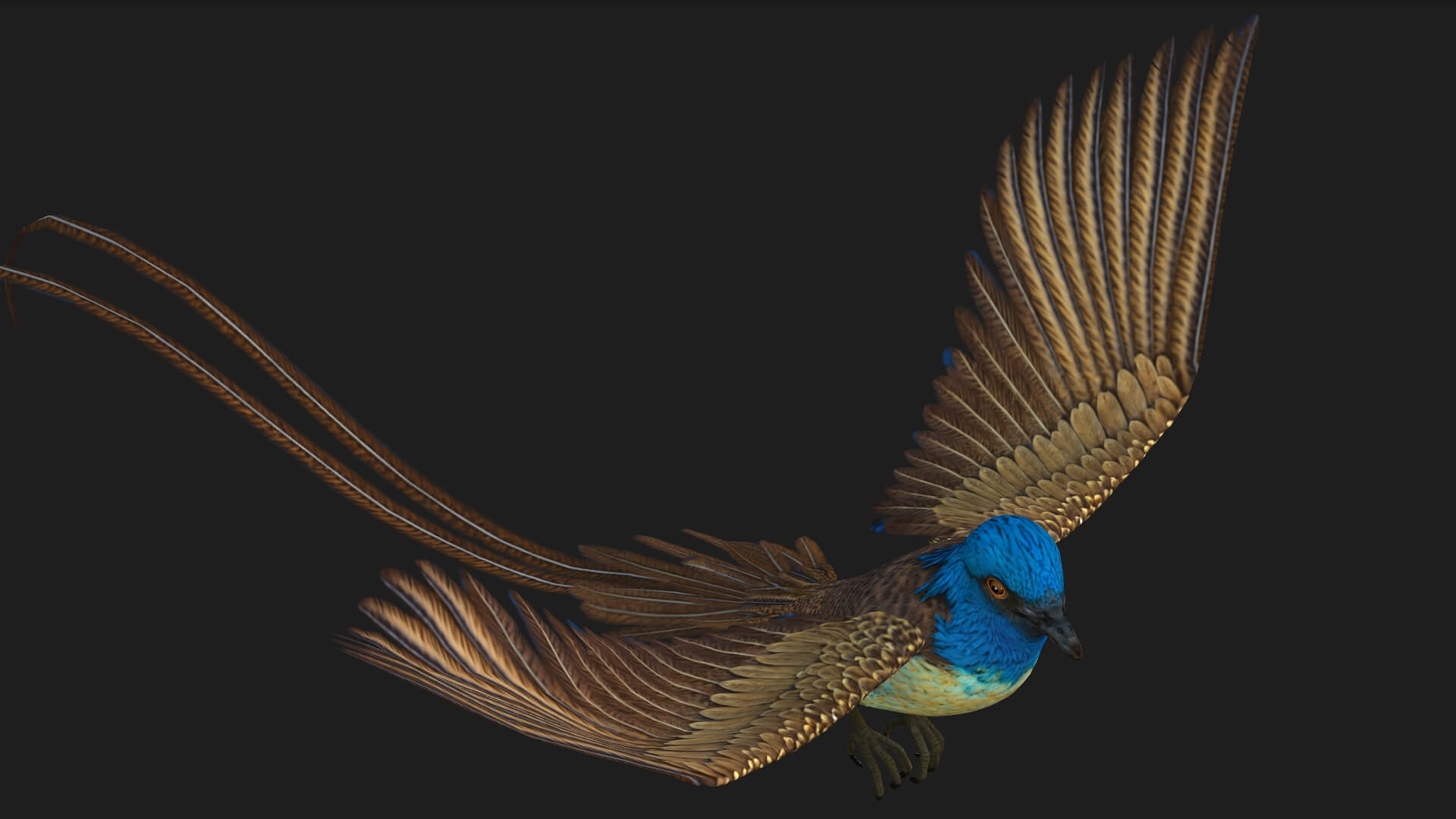 Pheasant Bird-B1 3D Model by Animated3d