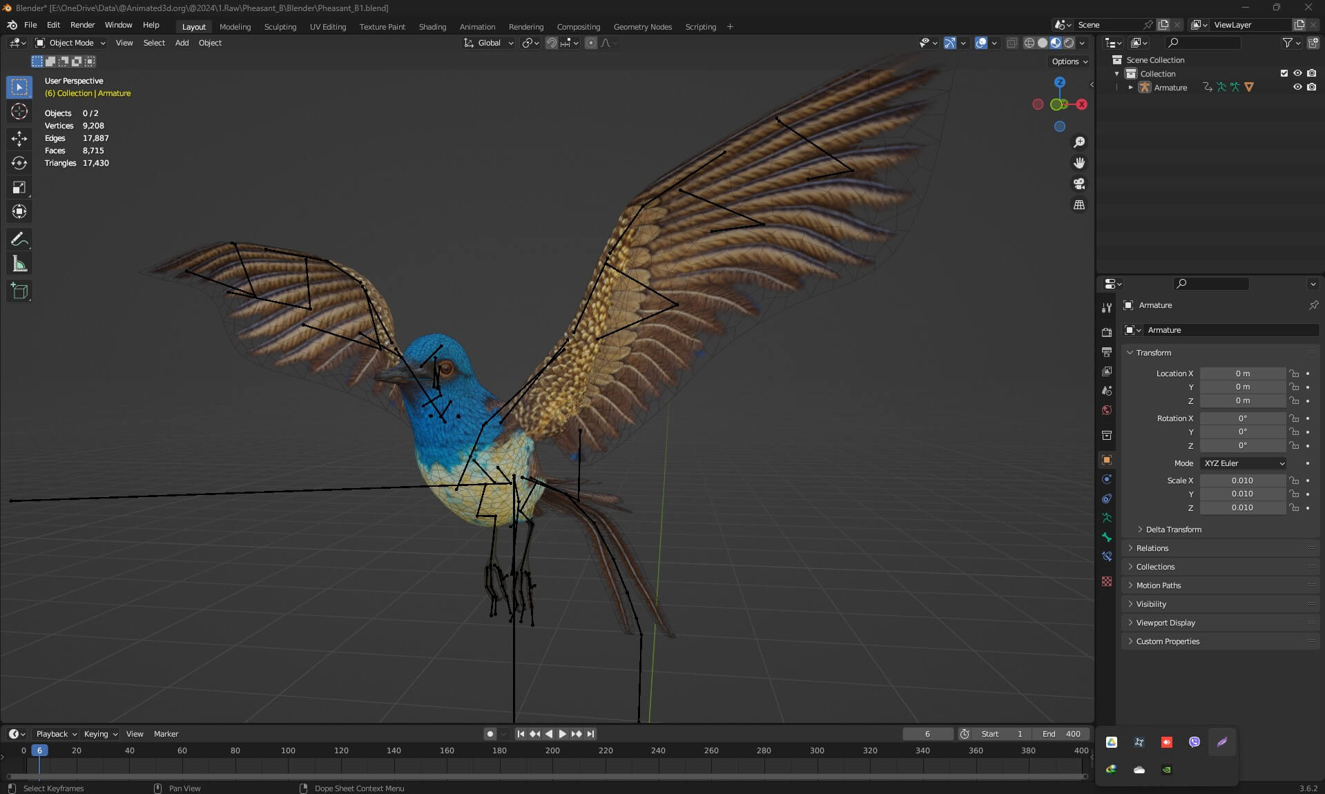Pheasant Bird-B1 3D Model by Animated3d