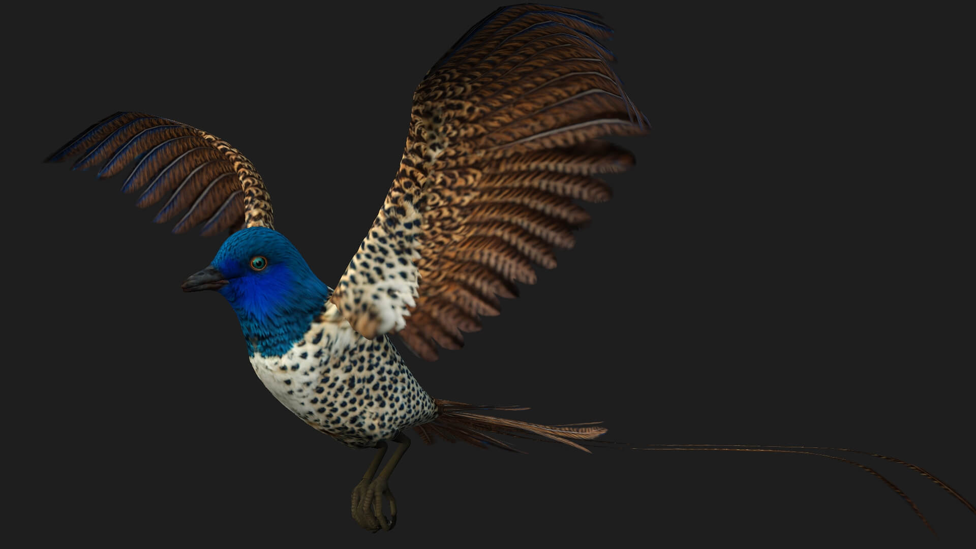 Pheasant Bird-B2 3D Model by Animated3d