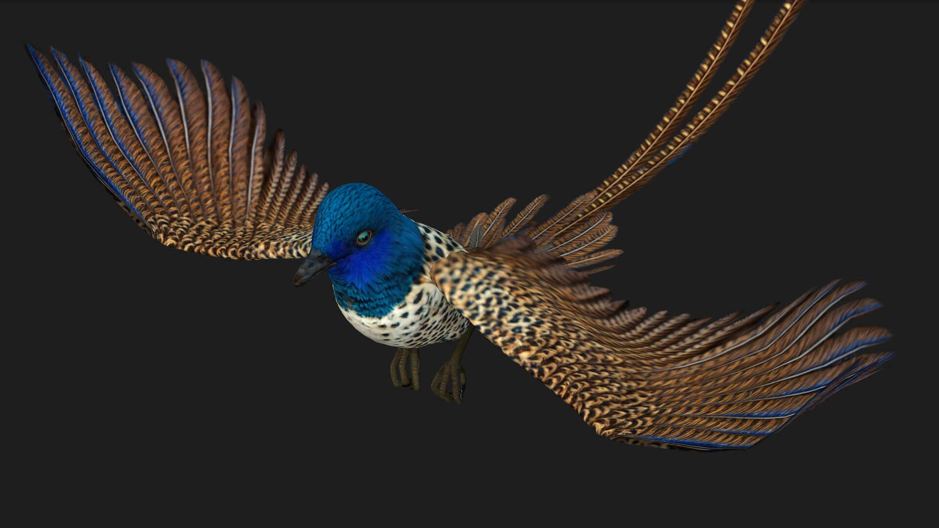 Pheasant Bird-B2 3D Model by Animated3d