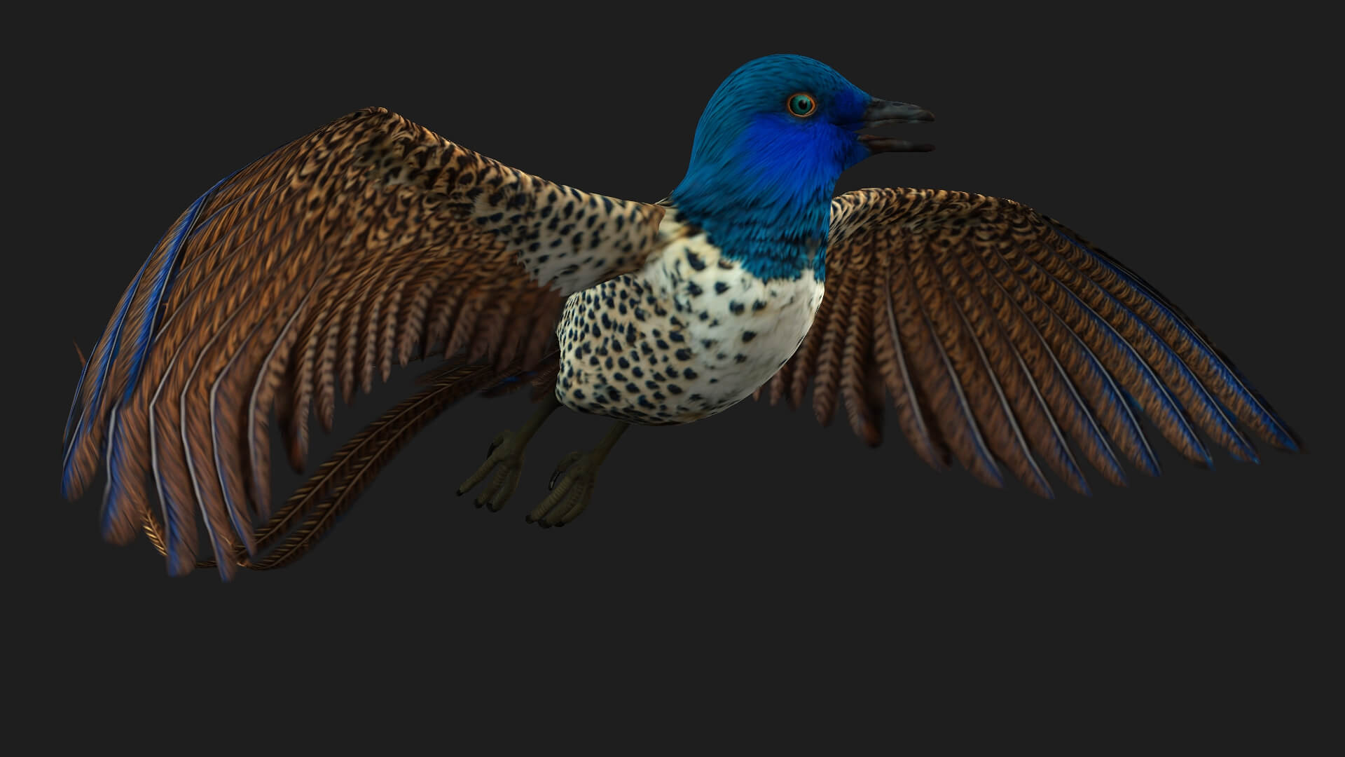 Pheasant Bird-B2 3D Model by Animated3d